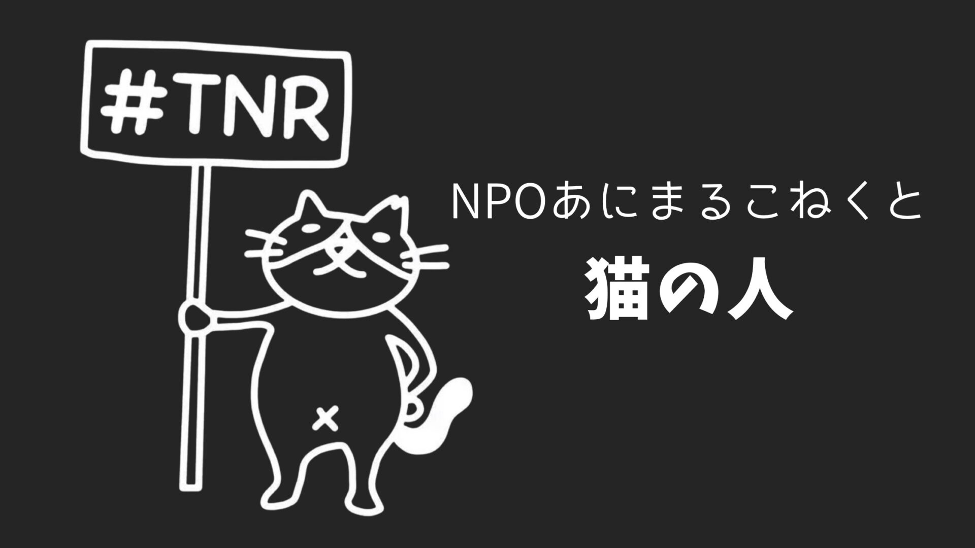 TNRについてのよくある質問｜NPOあにまるこねくと 猫の人
